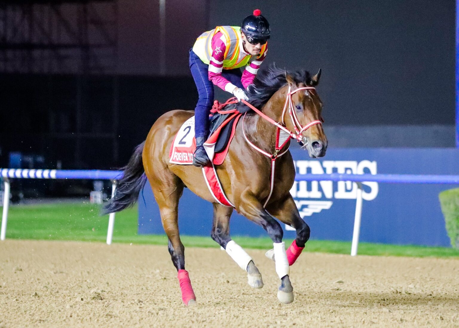 How the Runners in the $12-million Dubai World Cup Shape up - BetJets News